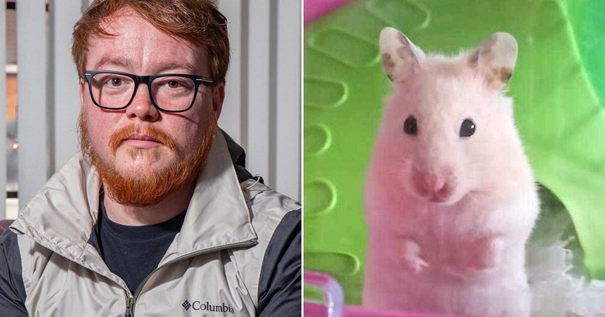 Un homme presque mort après une morsure de hamster - One Media