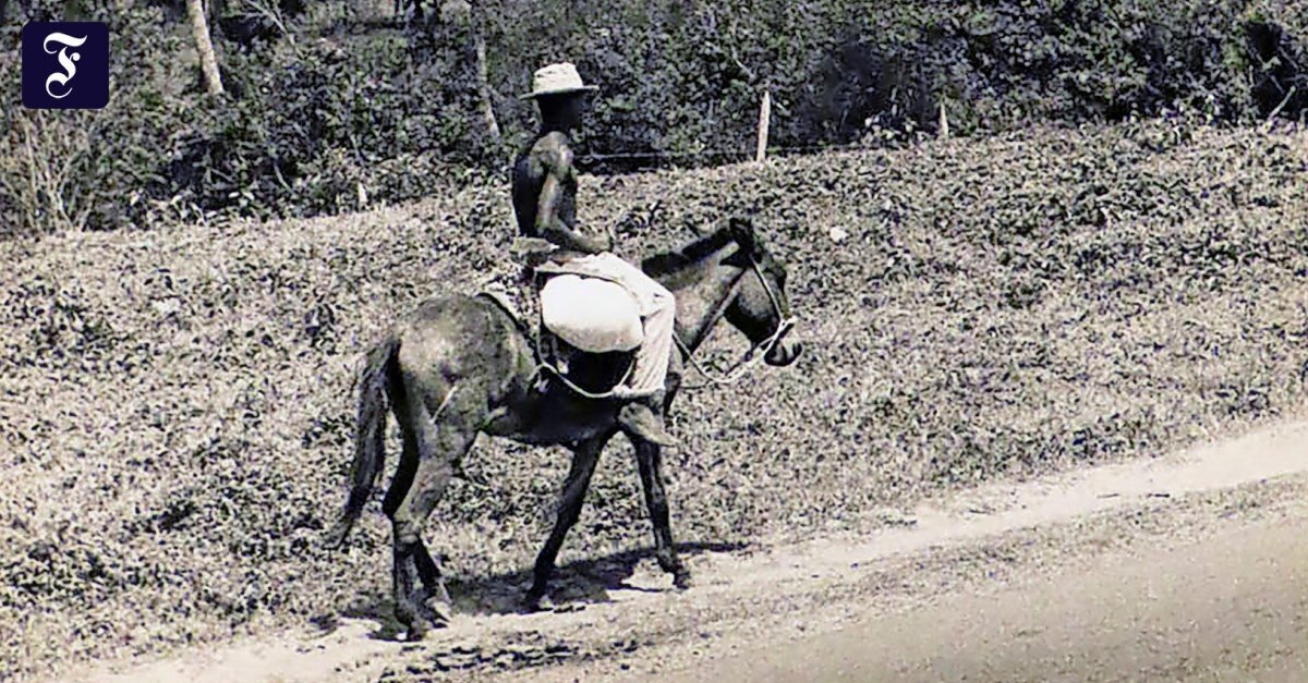 L'héritage de Deffarge et Troeller au Museum Folkwang - One Media